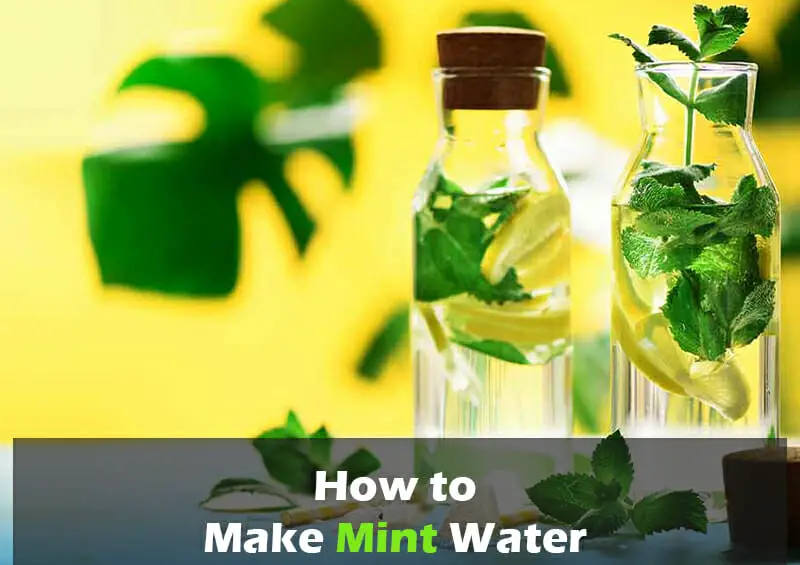 Make Mint Water: Benefits Of Hot Water Infused With Mint