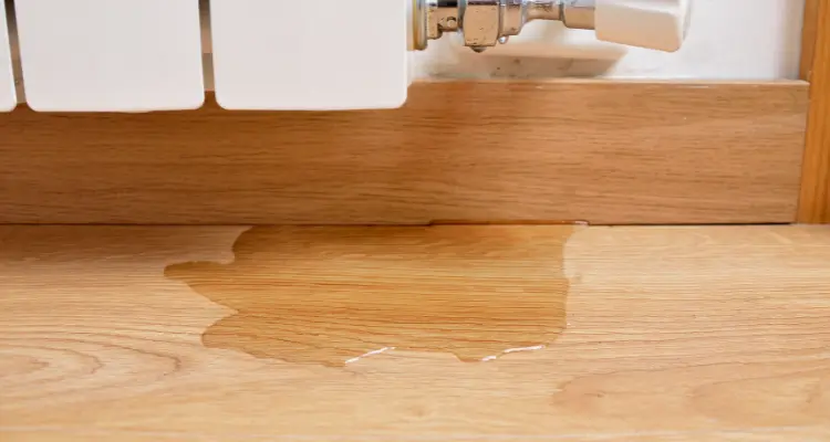 How To Soak Up Water From A Flooded Floor - Water Evidence